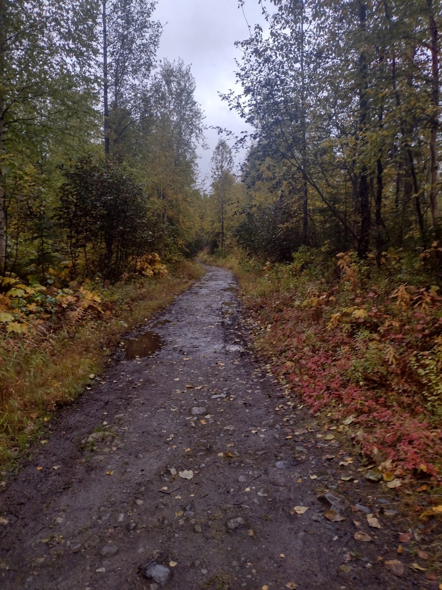 A Small Kindness – A Science-Fantasy Novel